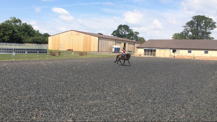 10531481-491349657663546-2656493612687739423-o