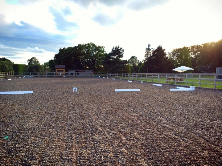 Priory Farm Equestrian | Competitions